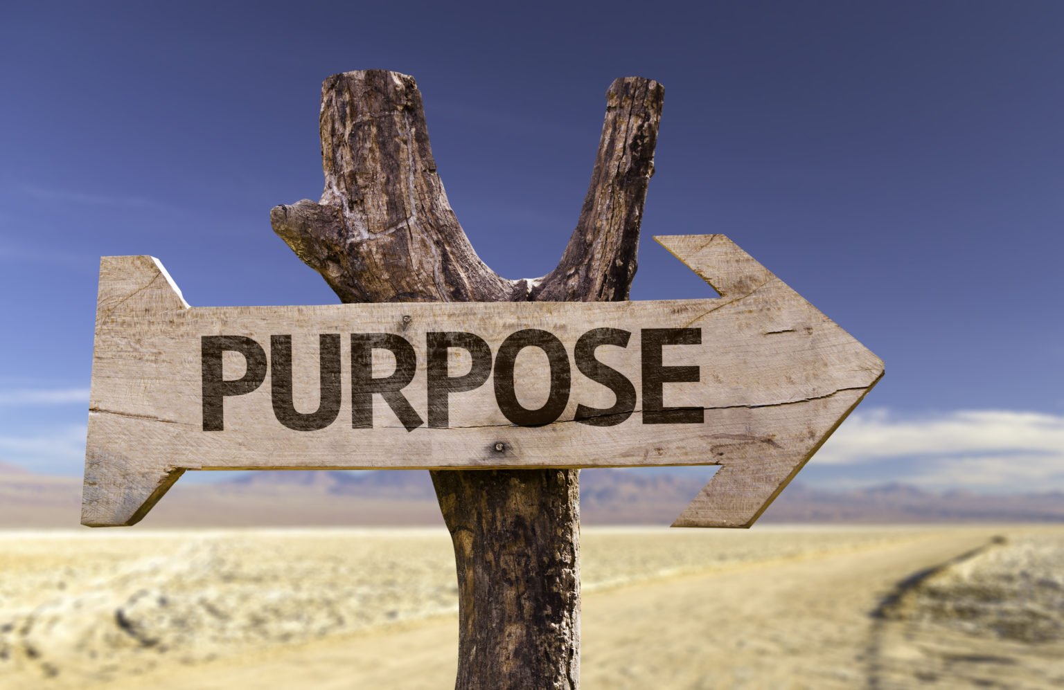 Finding Purpose, Promise, and Blessing in Writing - ACFW