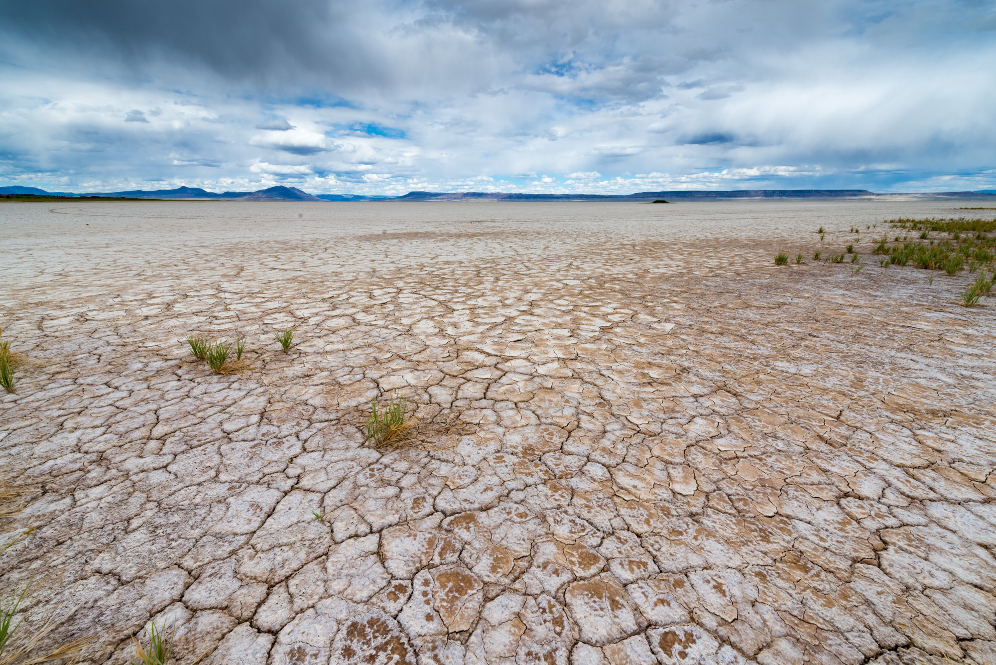 God’s Calling to Write - ACFW